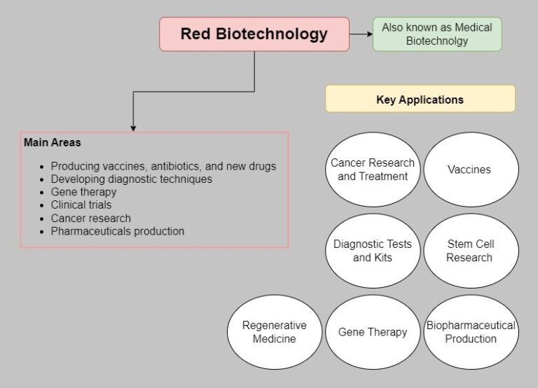 Red Biotechnology: Definition, Types, And Applications