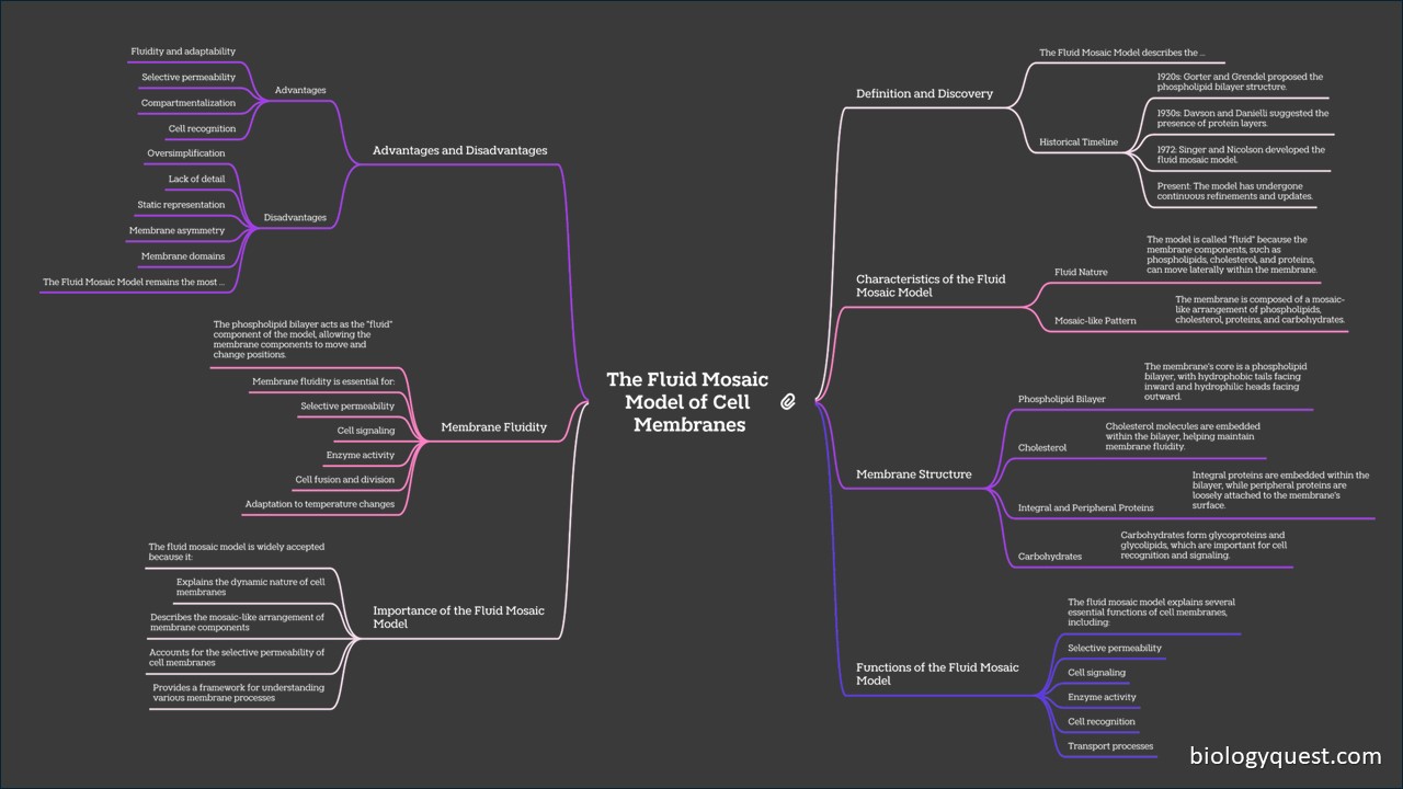 Fluid Mosaic Model: Definition, Discovery, Components, Structure And ...